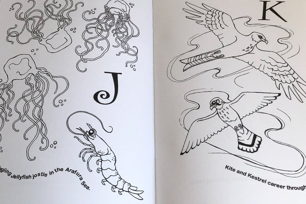 Sandra Kendell Top End Animals ABC Colouring Book – Tactile Arts